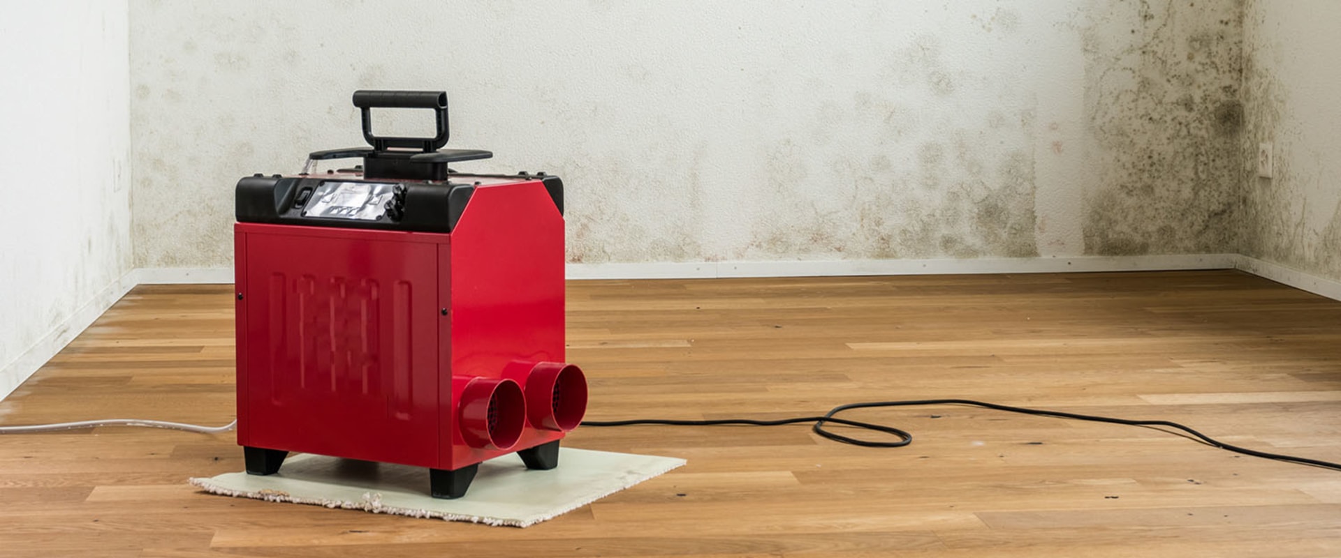 How to Dry Out a Wet Basement with a Dehumidifier